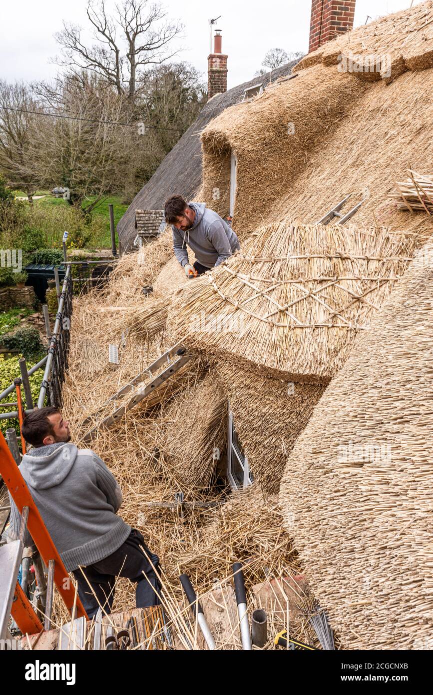 workmen thatching the roof of an old cottage Stock Photo - Alamy