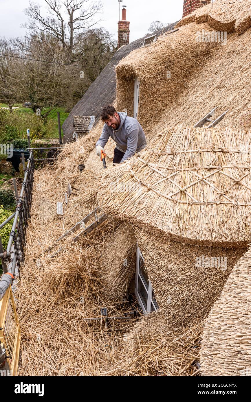 workmen thatching the roof of an old cottage Stock Photo - Alamy
