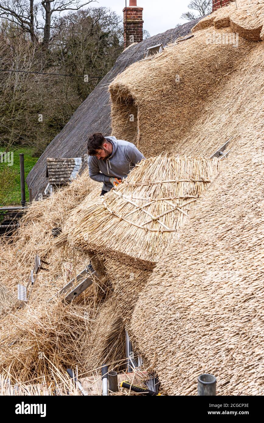 workmen thatching the roof of an old cottage Stock Photo - Alamy