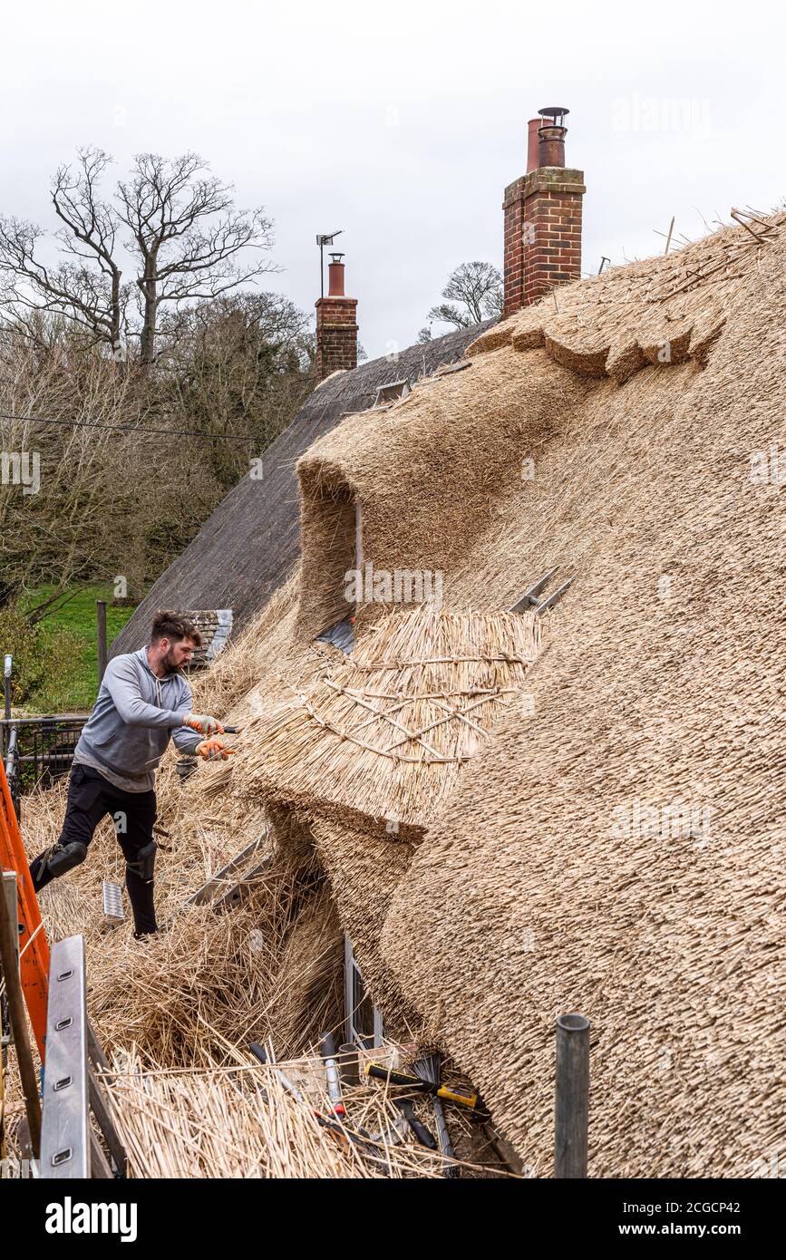 workmen thatching the roof of an old cottage Stock Photo - Alamy