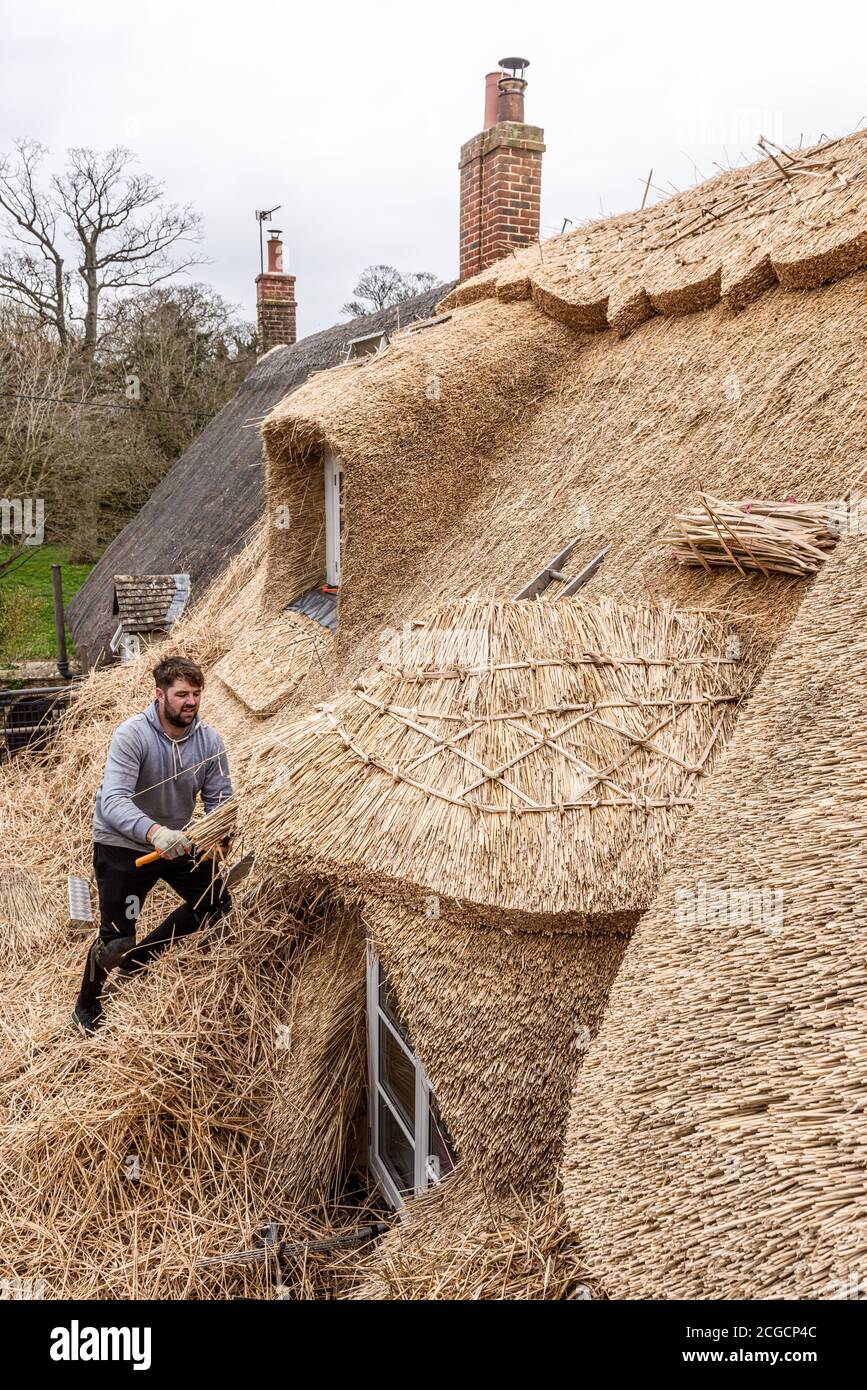 workmen thatching the roof of an old cottage Stock Photo - Alamy