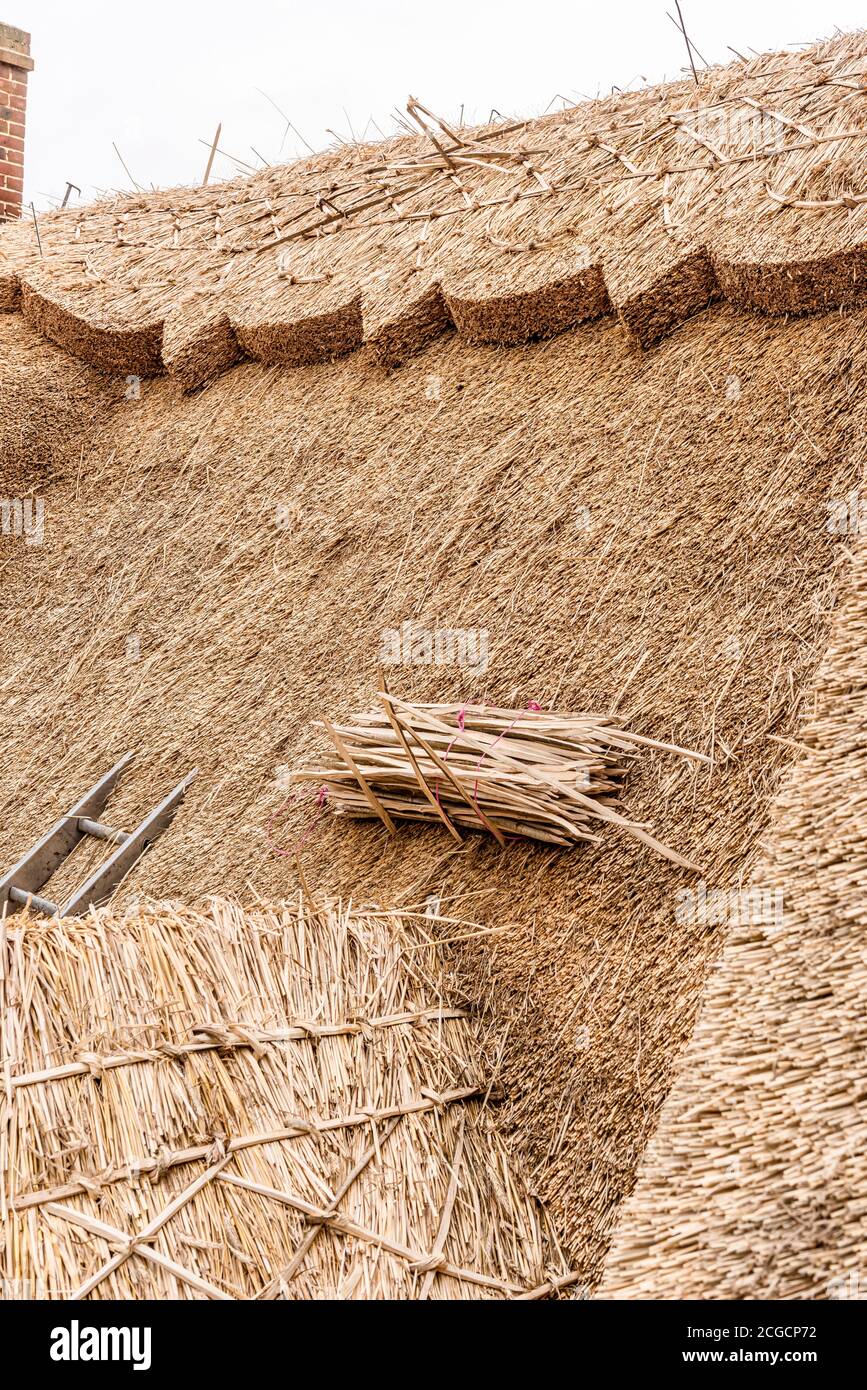 workmen thatching the roof of an old cottage Stock Photo - Alamy