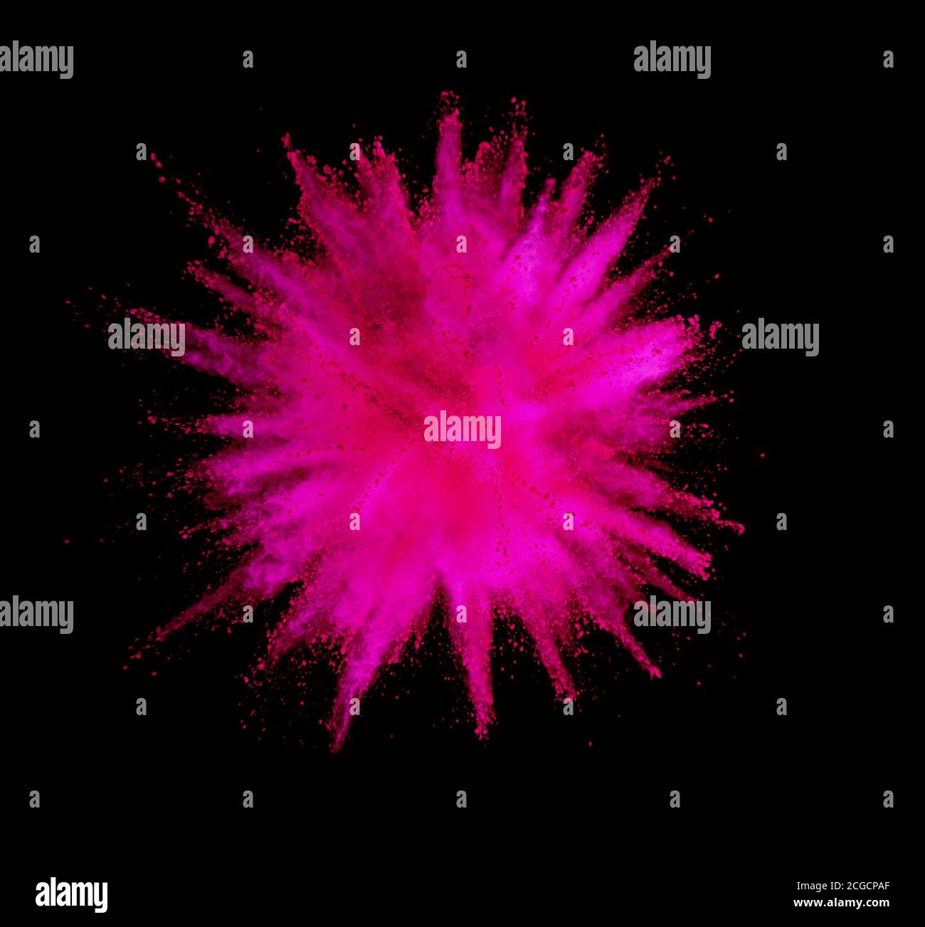 Explosion of pink powder isolated on black background. Abstract colored ...