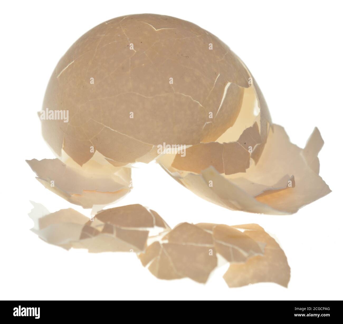 Cracked egg shells isolated on white background Stock Photo - Alamy