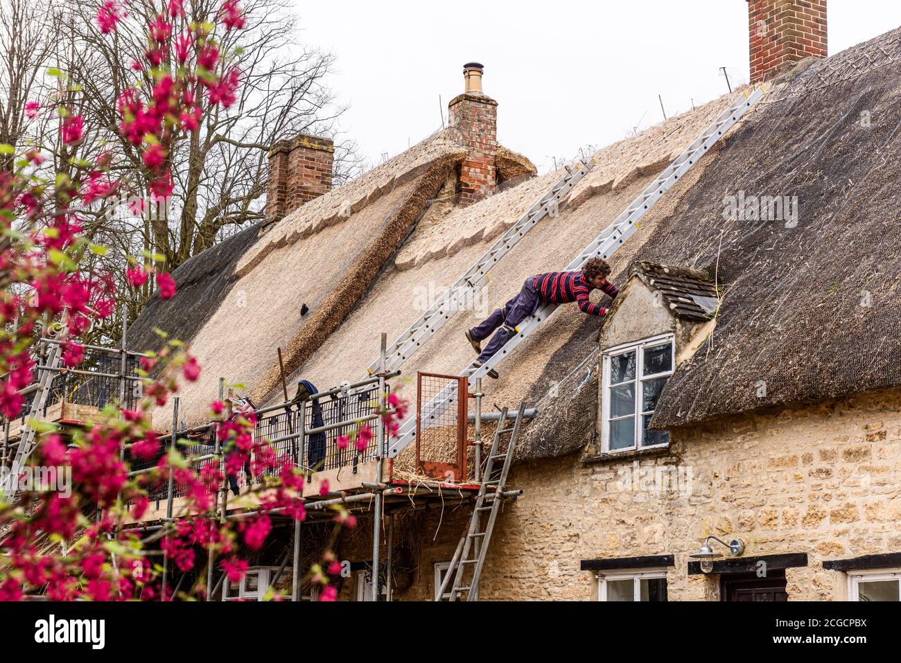 workmen thatching the roof of an old cottage Stock Photo - Alamy
