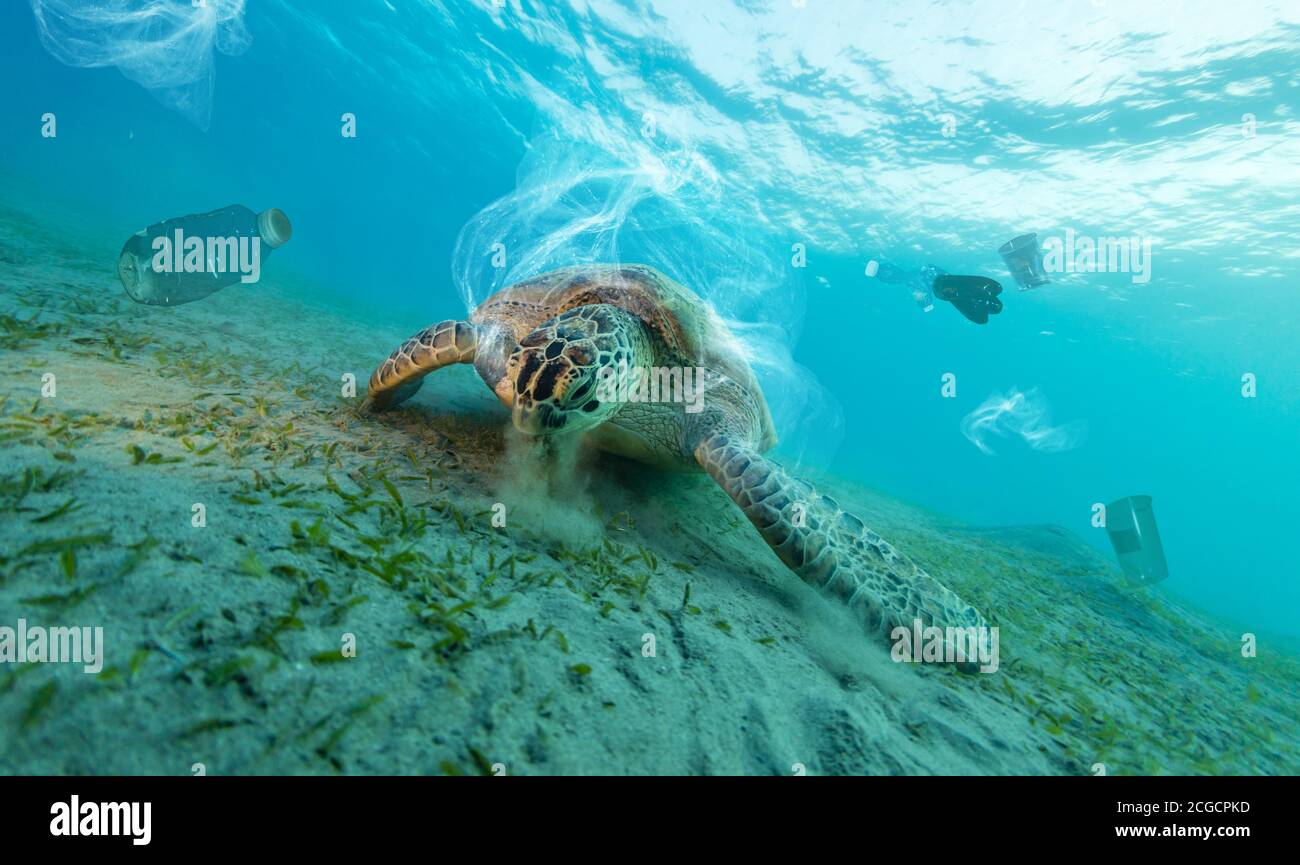 Underwater concept of global problem with plastic rubbish floating in ...