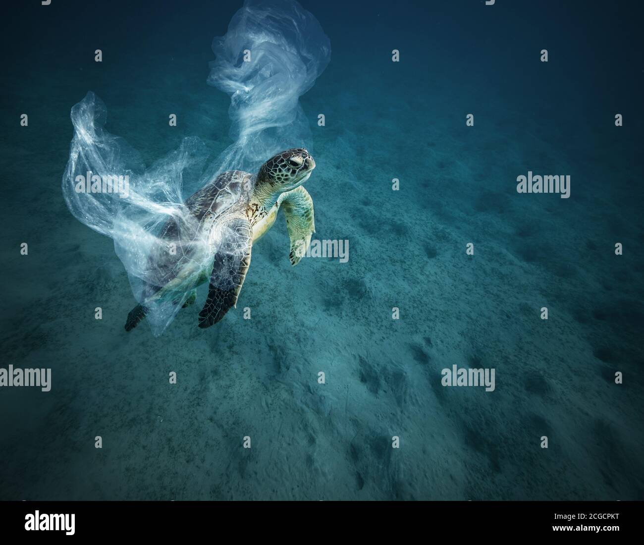 Underwater concept of global problem with plastic rubbish floating in ...