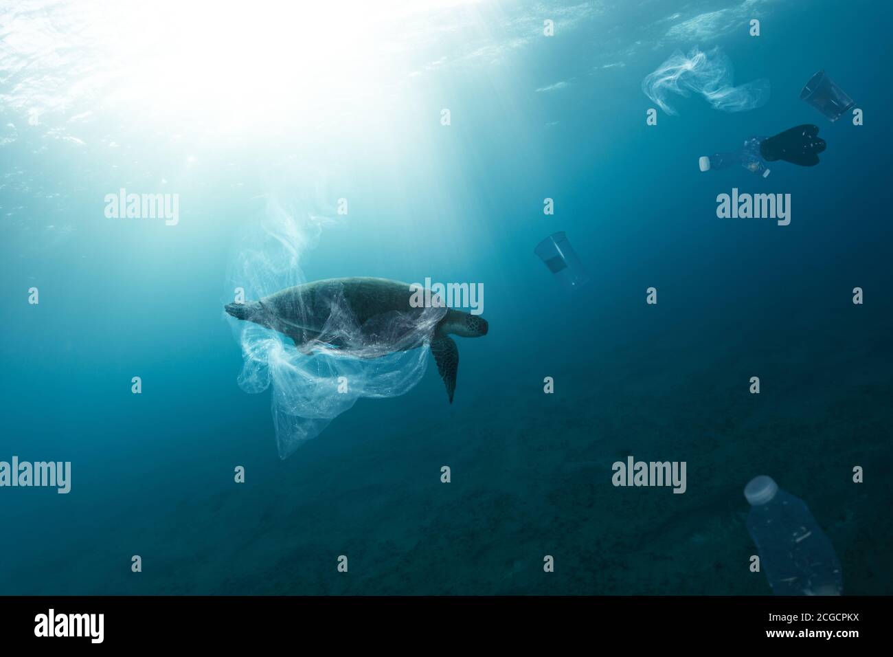 Underwater concept of global problem with plastic rubbish floating in ...