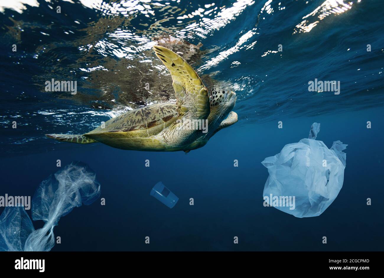 Underwater concept of global problem with plastic rubbish floating in ...