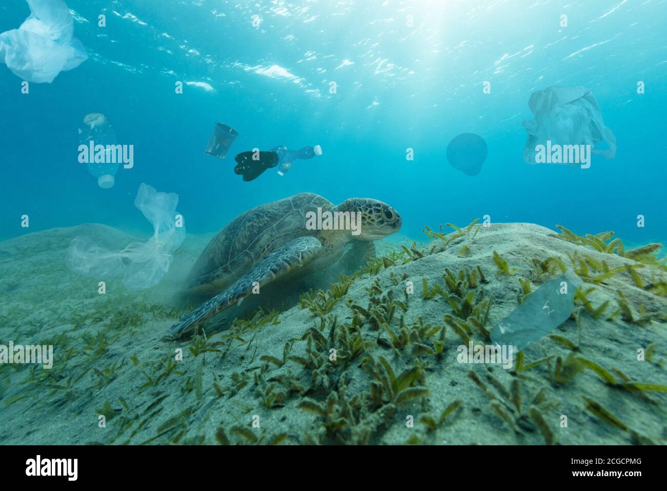Underwater concept of global problem with plastic rubbish floating in ...
