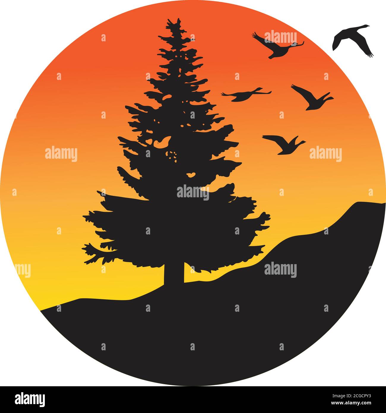 pine tree, graphiv design element Stock Vector Image & Art - Alamy
