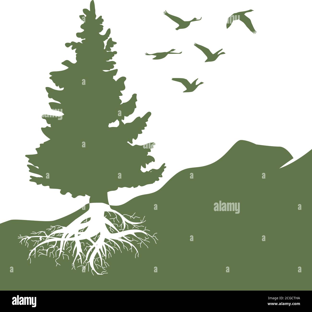 Pine woods Stock Vector Images - Alamy