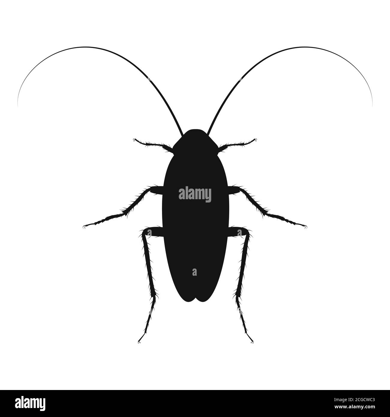 Cockroach vector logo. Insect icon isolated. Black silhouette of ...