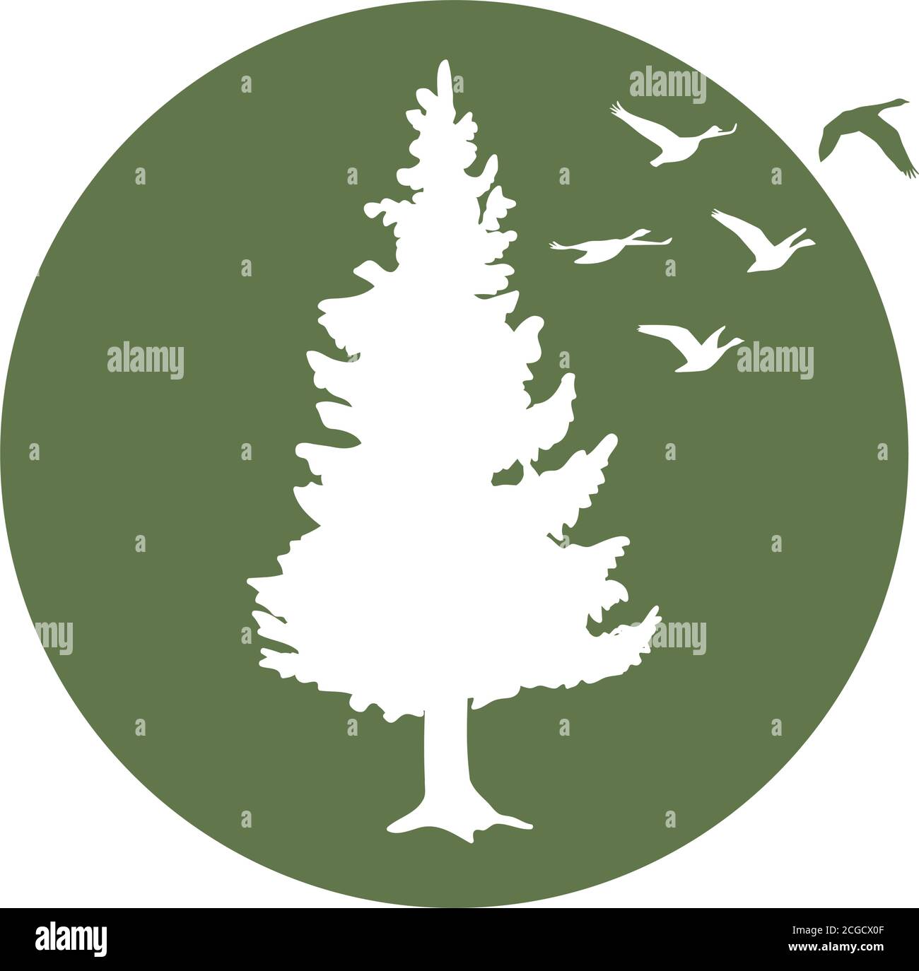 pine tree, graphiv design element Stock Vector Image & Art - Alamy