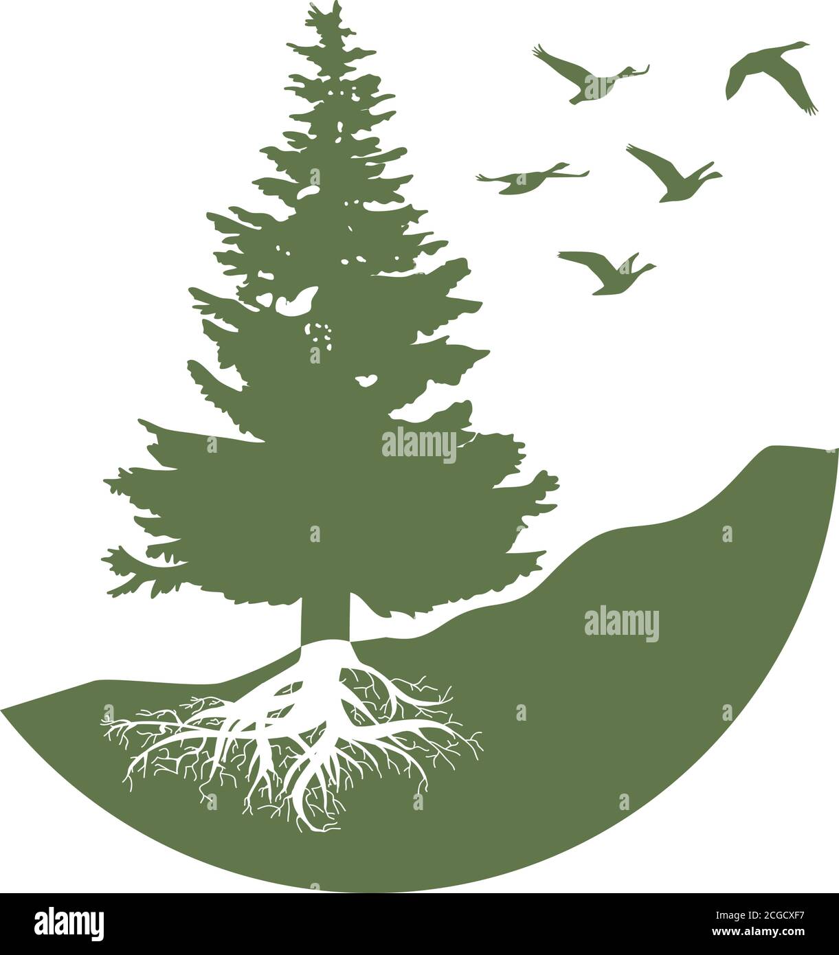 pine tree, graphiv design element Stock Vector Image & Art - Alamy