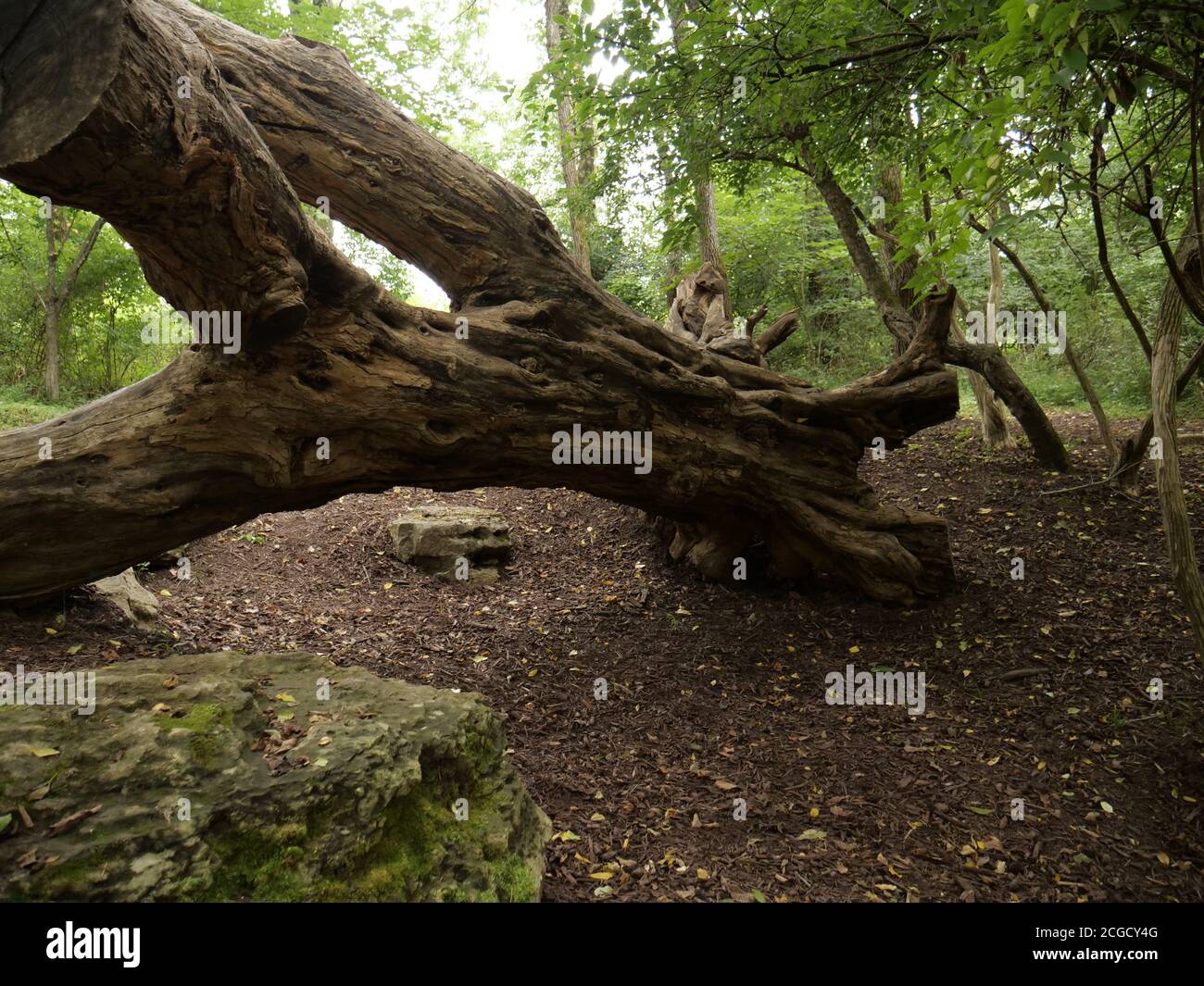 Anchorage ky post office hi-res stock photography and images - Alamy
