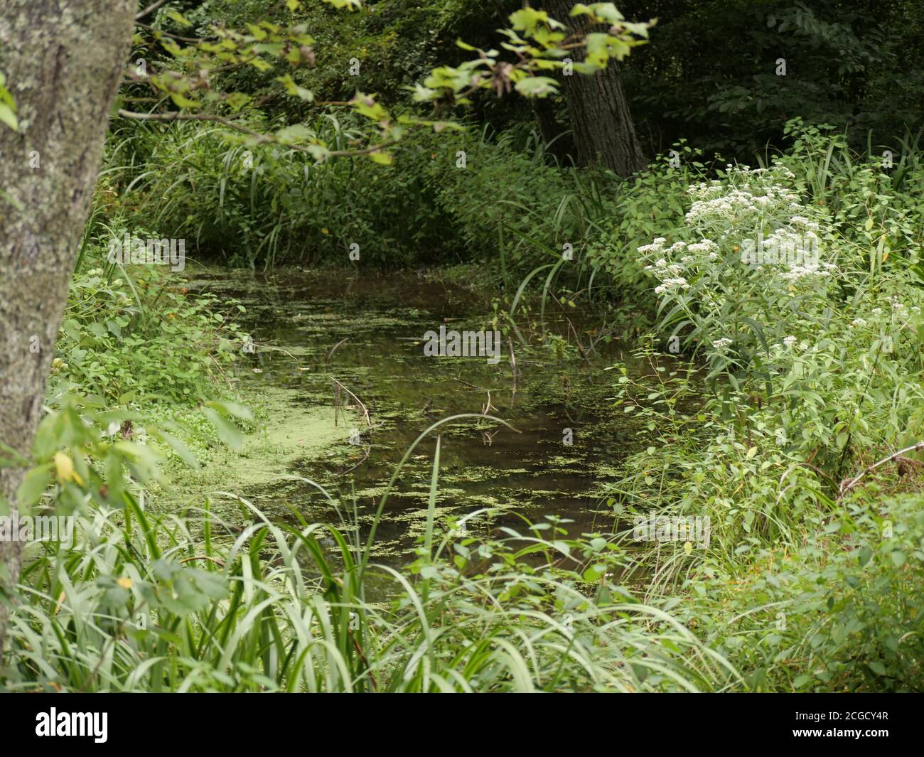 Anchorage post office hi-res stock photography and images - Alamy