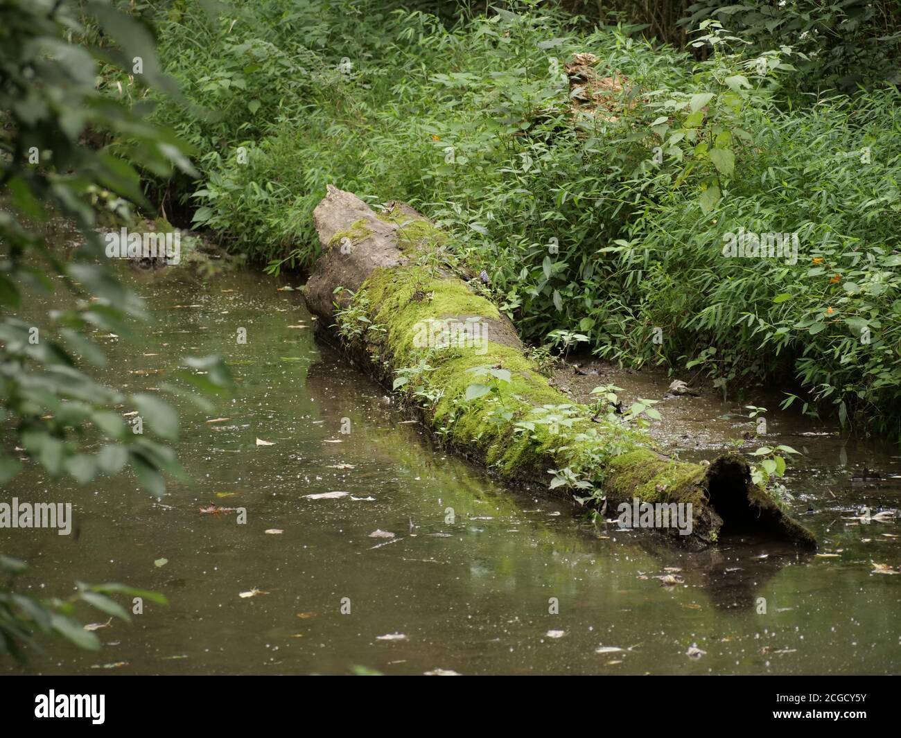 Anchorage ky post office hi-res stock photography and images - Alamy