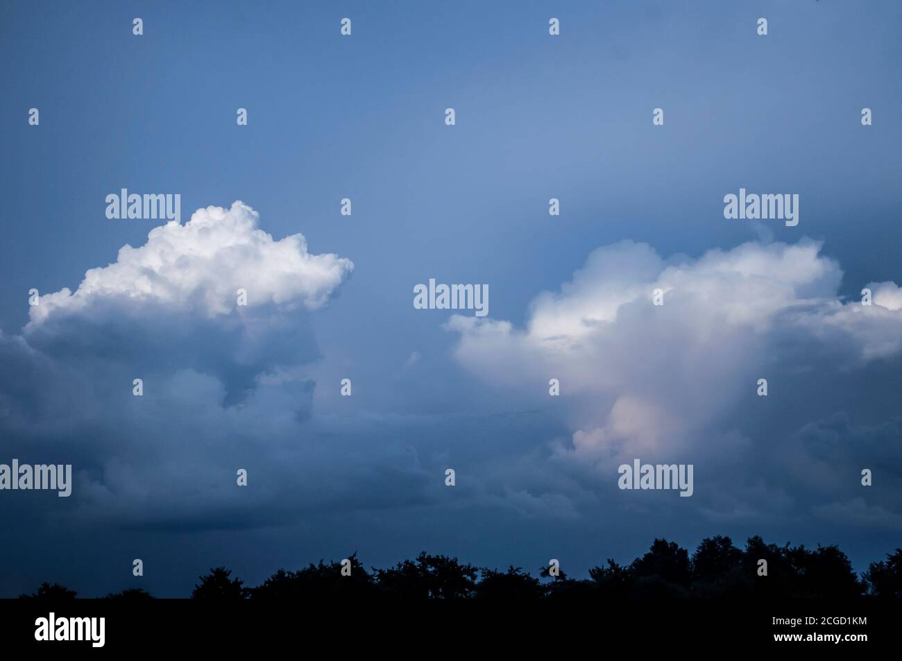 Almost All White High Resolution Stock Photography and Images - Alamy