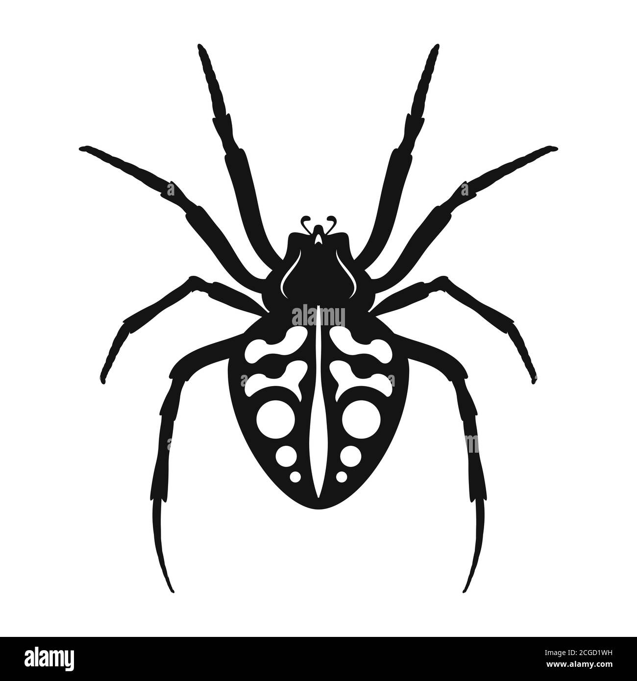 Simple Spider Vector