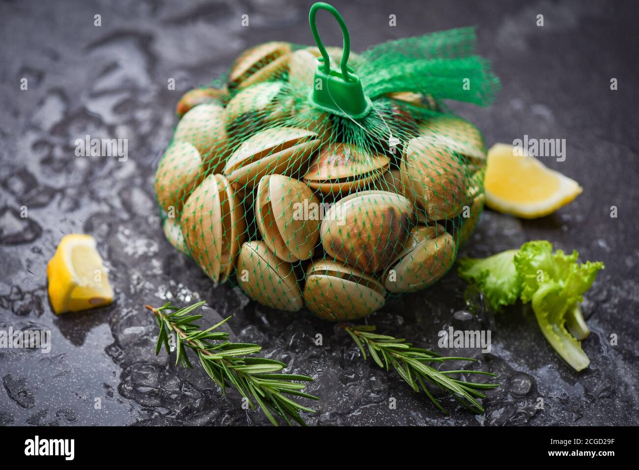 Saltwater clams hi-res stock photography and images - Alamy