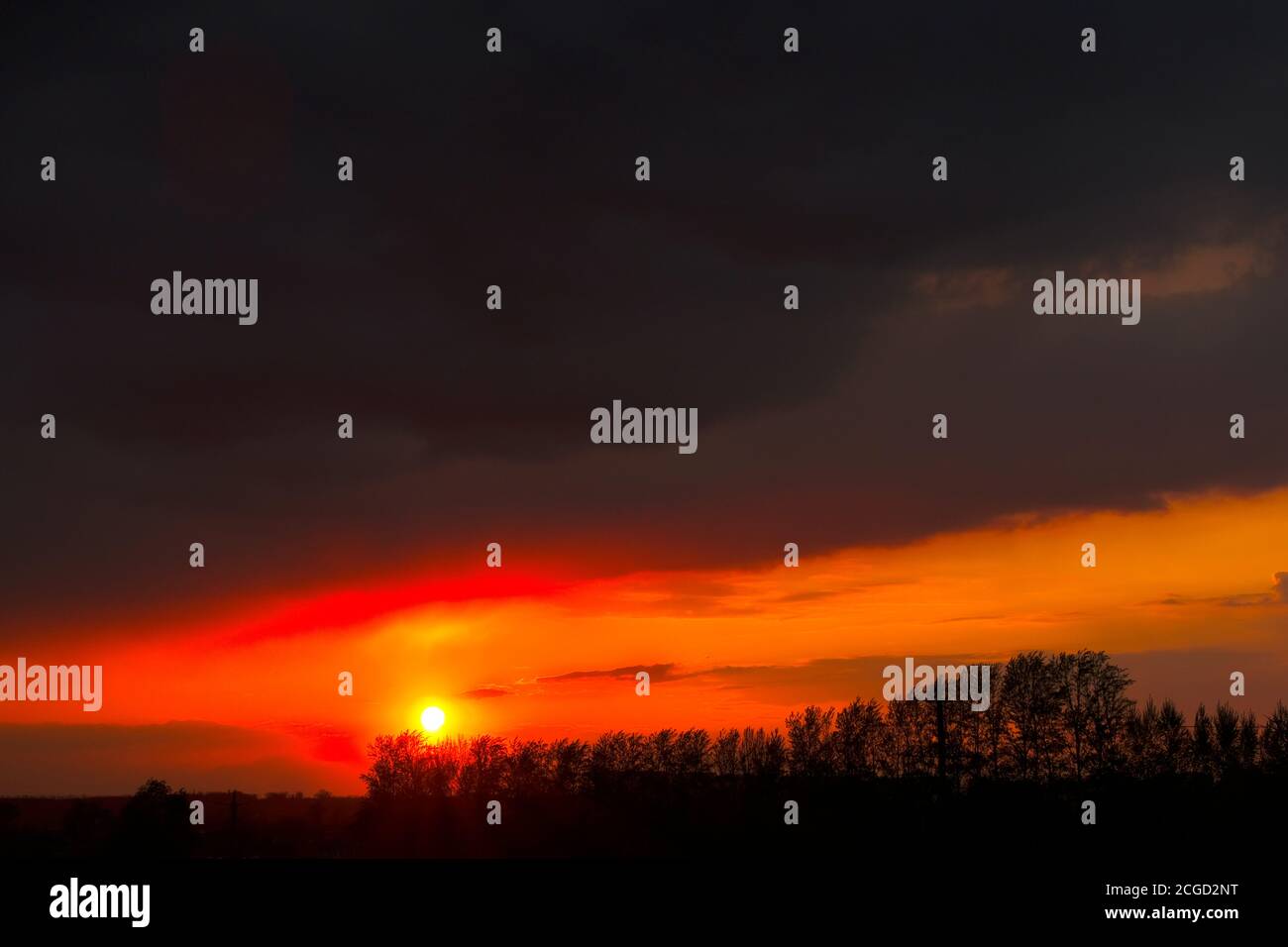 The red sunset sky with the sun and clouds. The bright disk of the sun ...