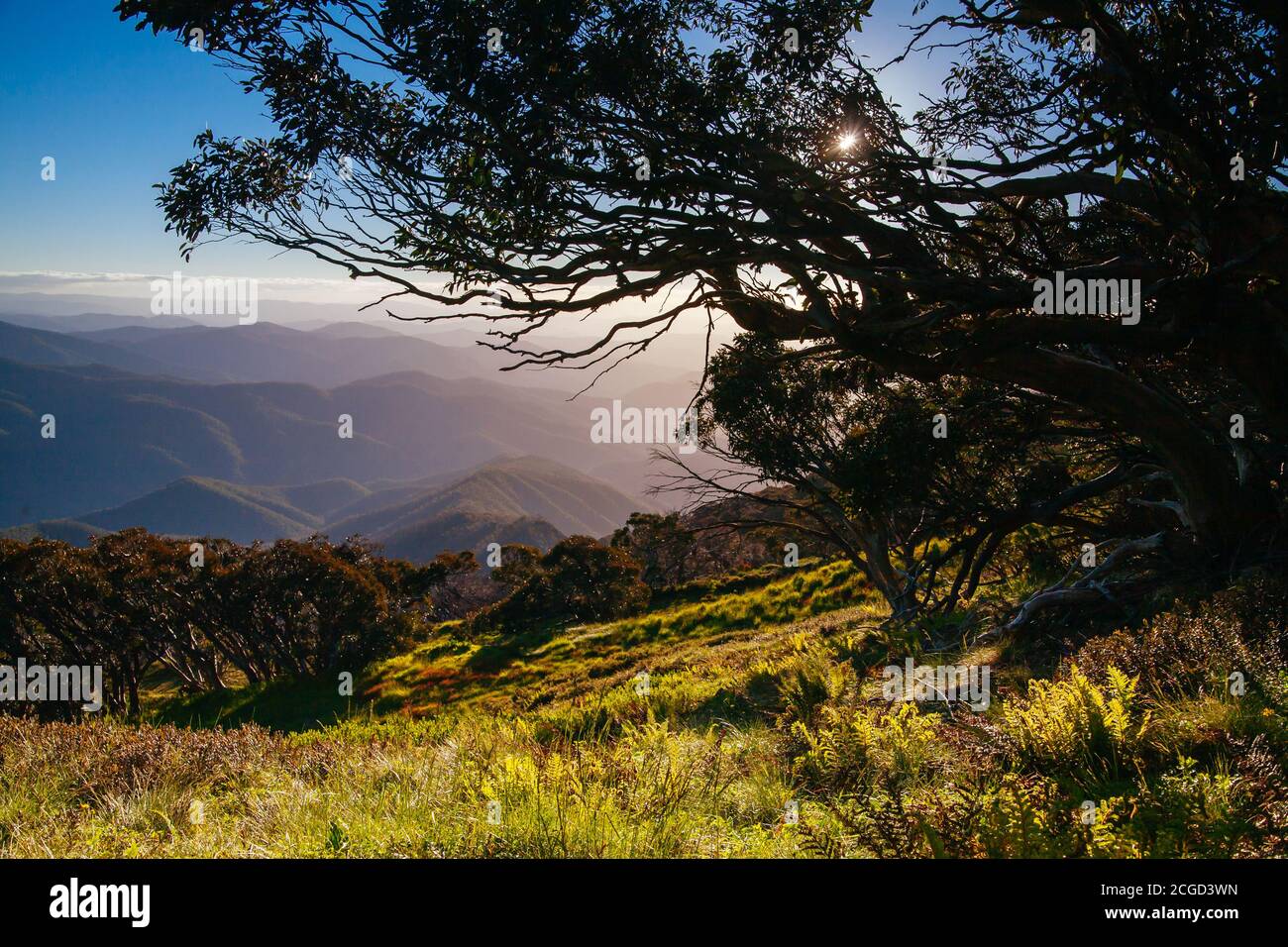 Mount buller and australia and summit hi-res stock photography and ...