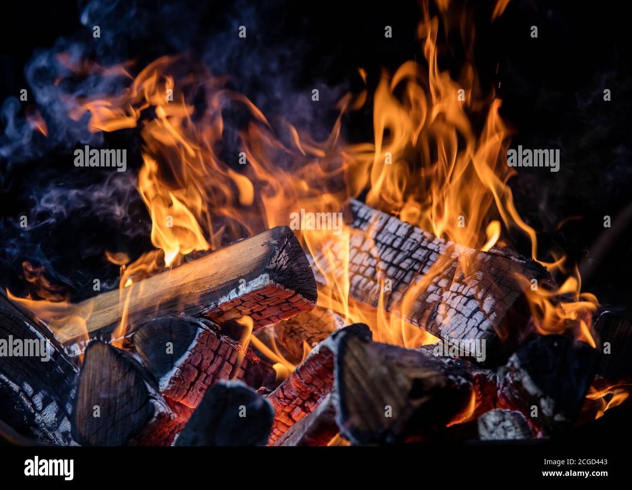 Burning wooden logs in fire, campfire isolated on black background ...