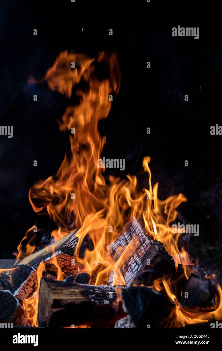 Burning wooden logs in fire, campfire isolated on black background ...