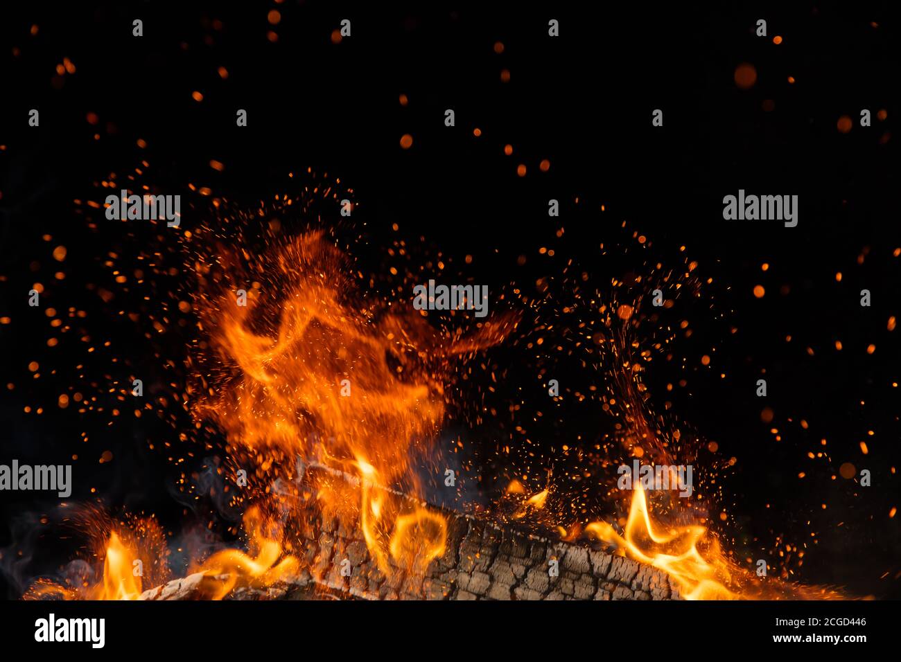 Burning wooden logs in fire, campfire isolated on black background ...