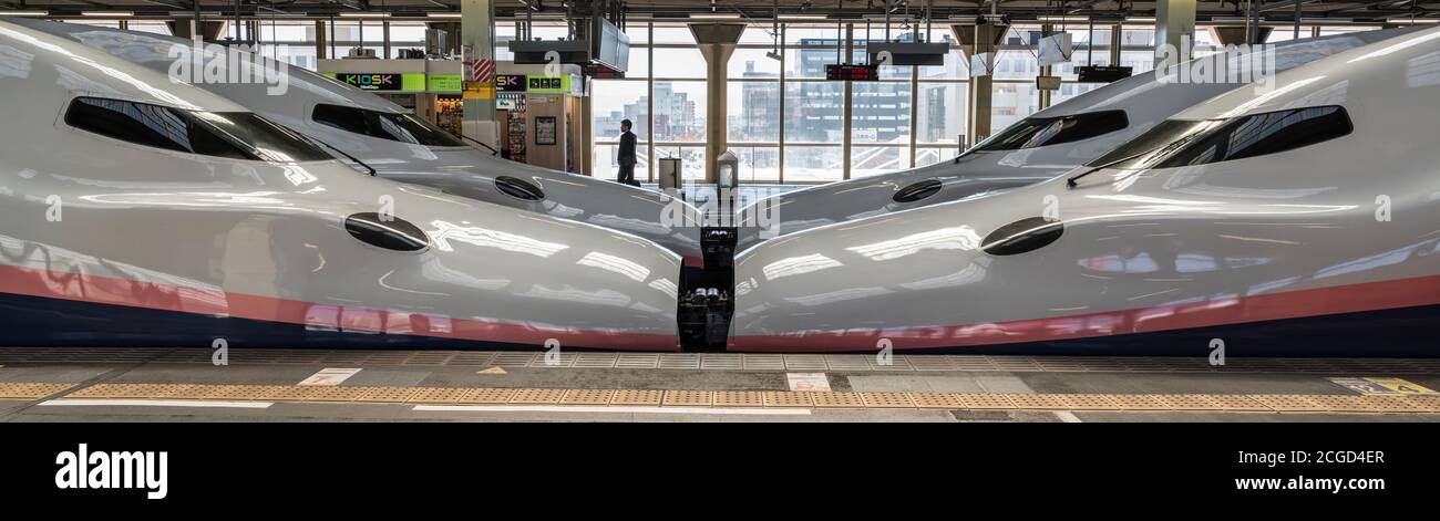 JR East E4 Series Shinkansen trains at Niigata Station in Japan Stock ...