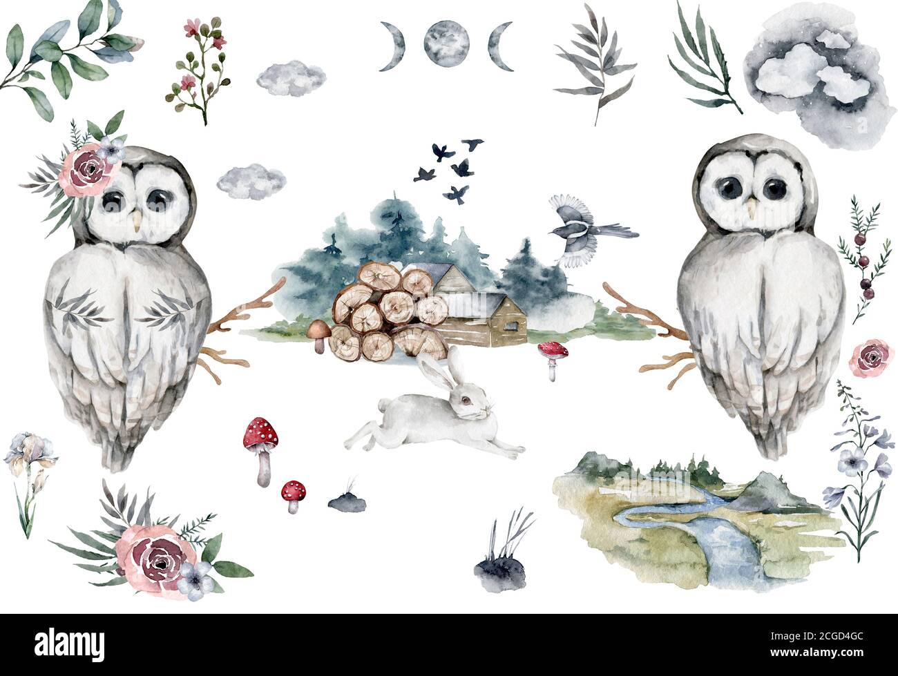 Realistic hand drawn watercolor of owl with floral element ...