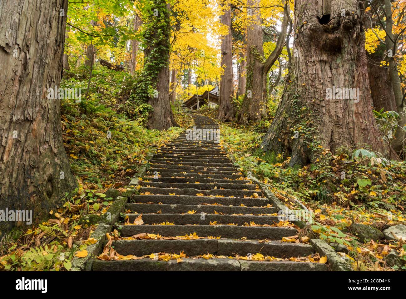 Mount haguro shrine hi-res stock photography and images - Alamy