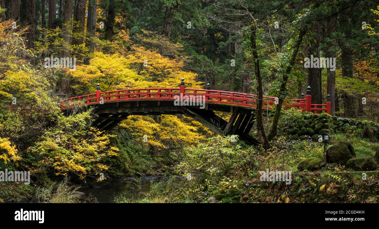 A red bridge in a forest at Hagurosan (Mount Haguro) in Tsuruoka ...