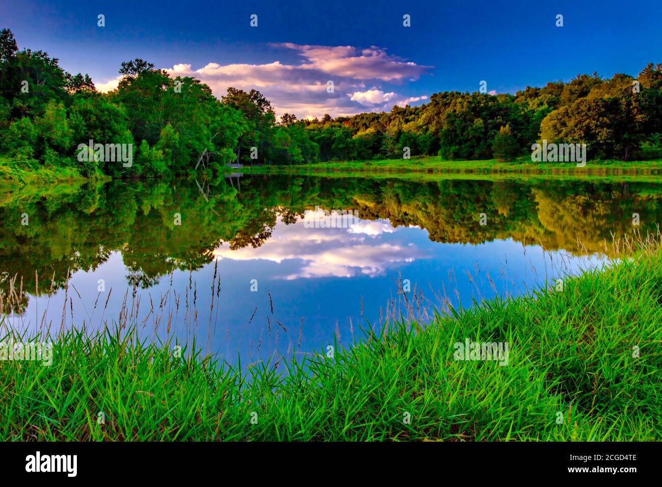 Loch Lomond is a shallow recreational trout stocked pond in Delaware ...