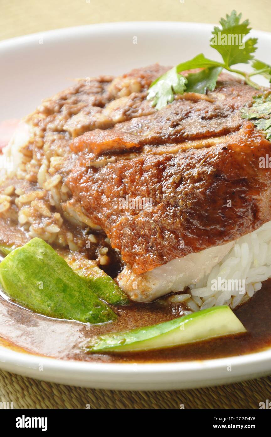 roasted duck meat topping rice dressing sweet sauce and pickled ginger ...