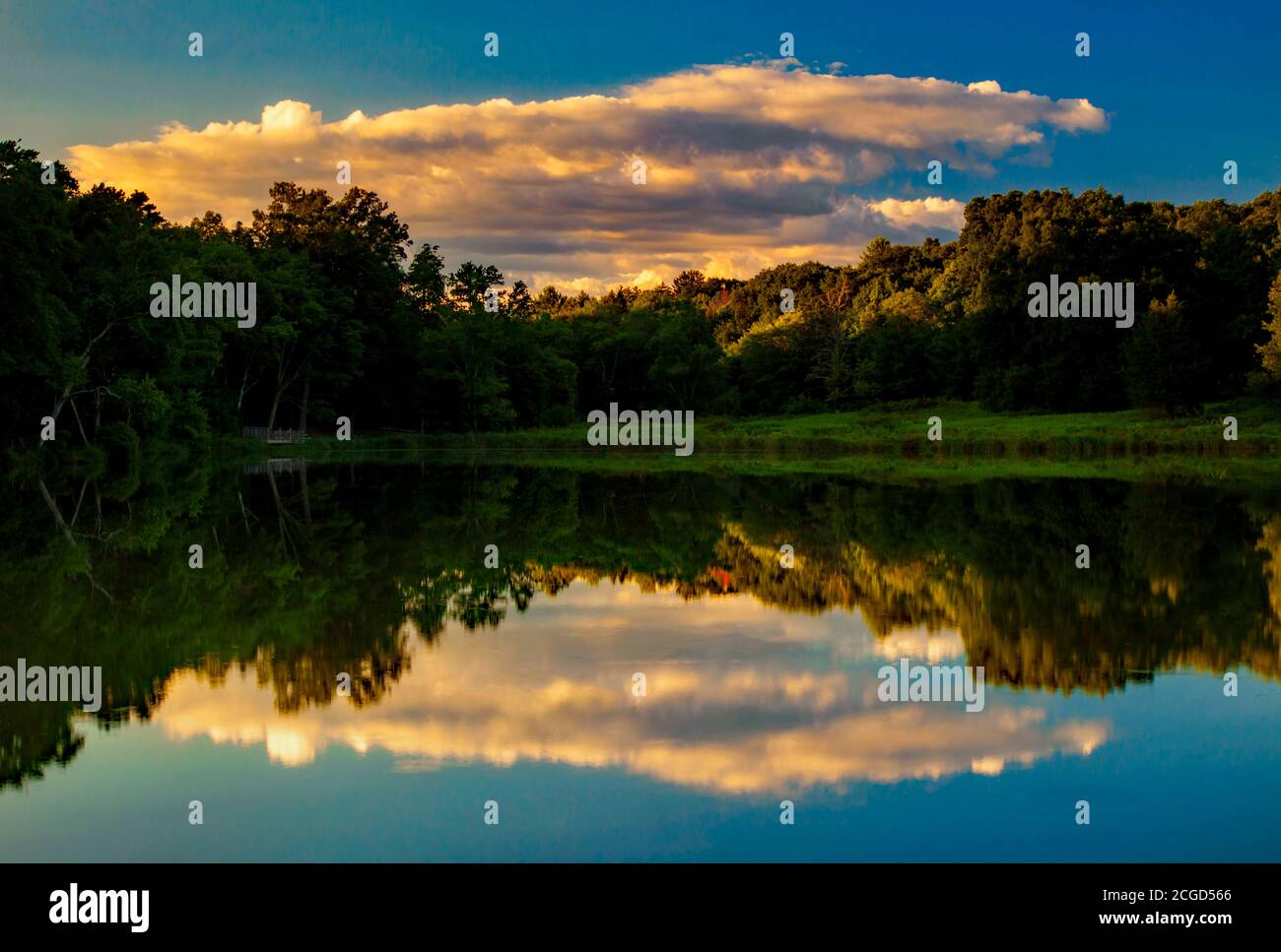 Loch Lomond is a shallow recreational trout stocked pond in Delaware ...