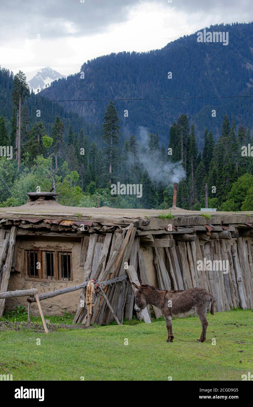 Landscapes photos of sharda , kel, taobut and all Neelam Valley Kashmir ...