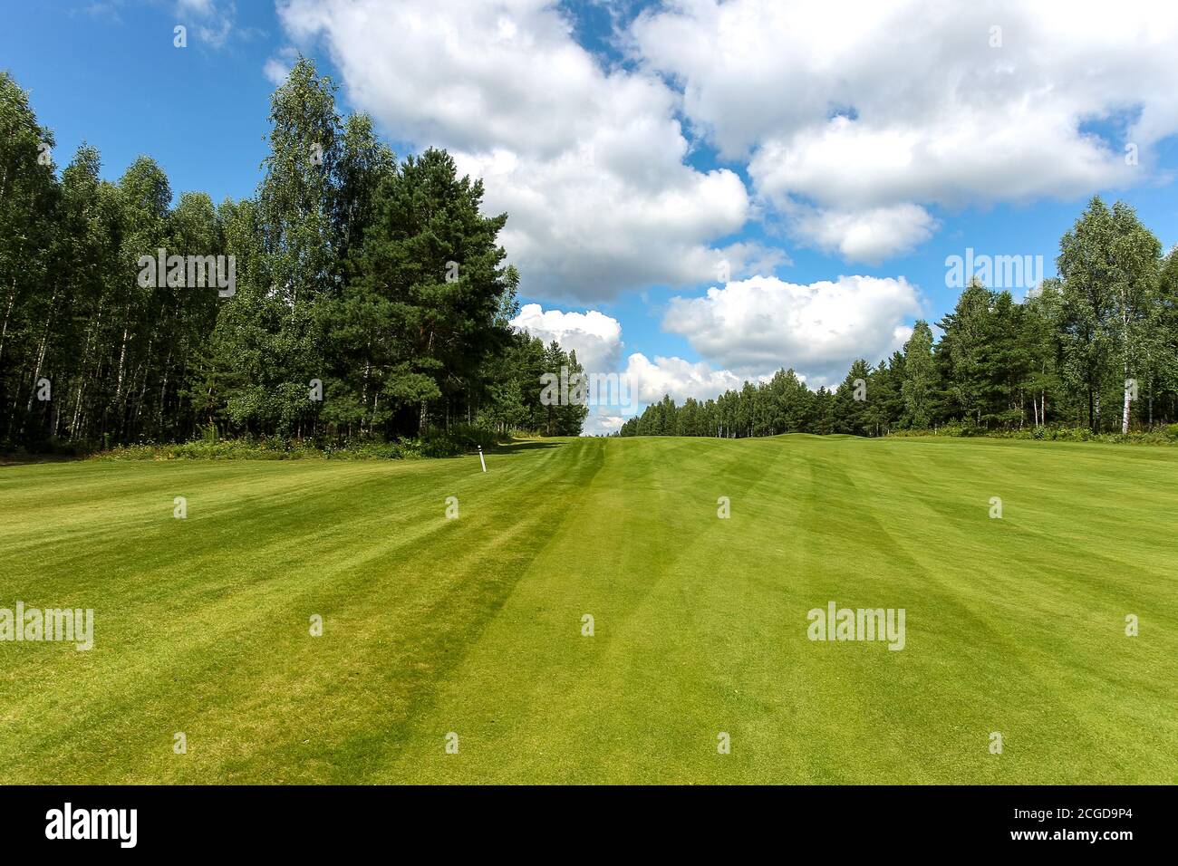 The Summer landscape golf course panorama and background Stock Photo ...