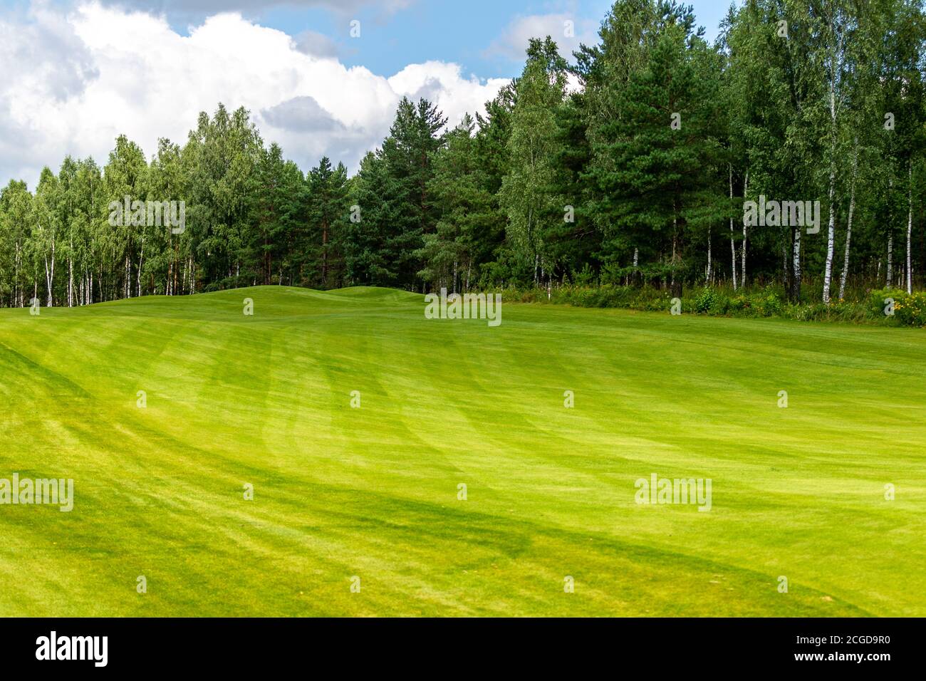 The Summer landscape golf course panorama and background Stock Photo ...