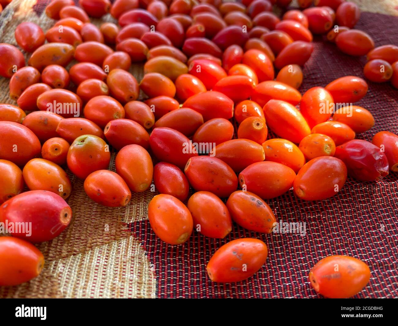 Medicinal natural rosehip hi-res stock photography and images - Alamy