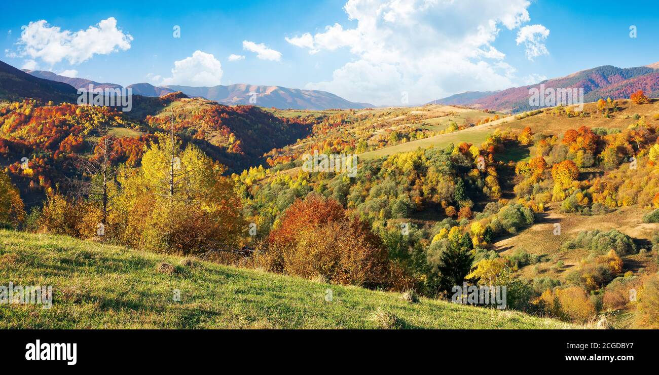 mountainous countryside scenery on a sunny day. beautiful rural ...
