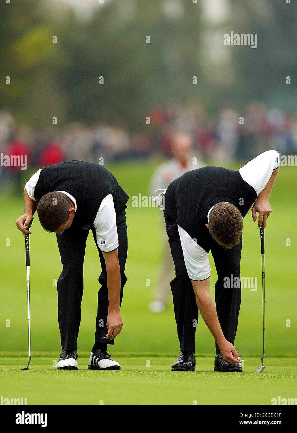 Golf Tee Pegs