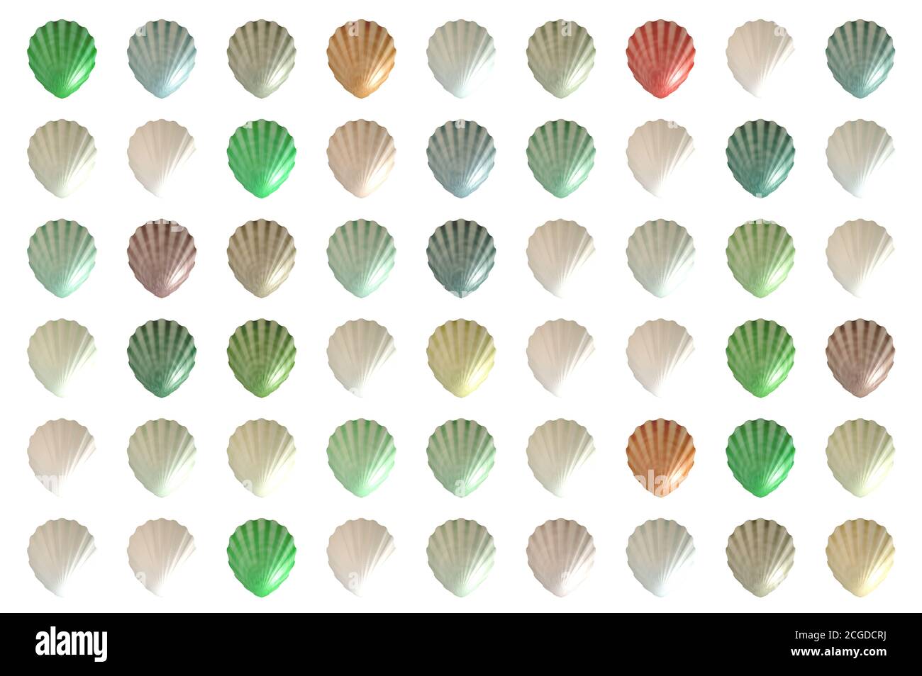 Clam shell graphic Cut Out Stock Images & Pictures - Alamy