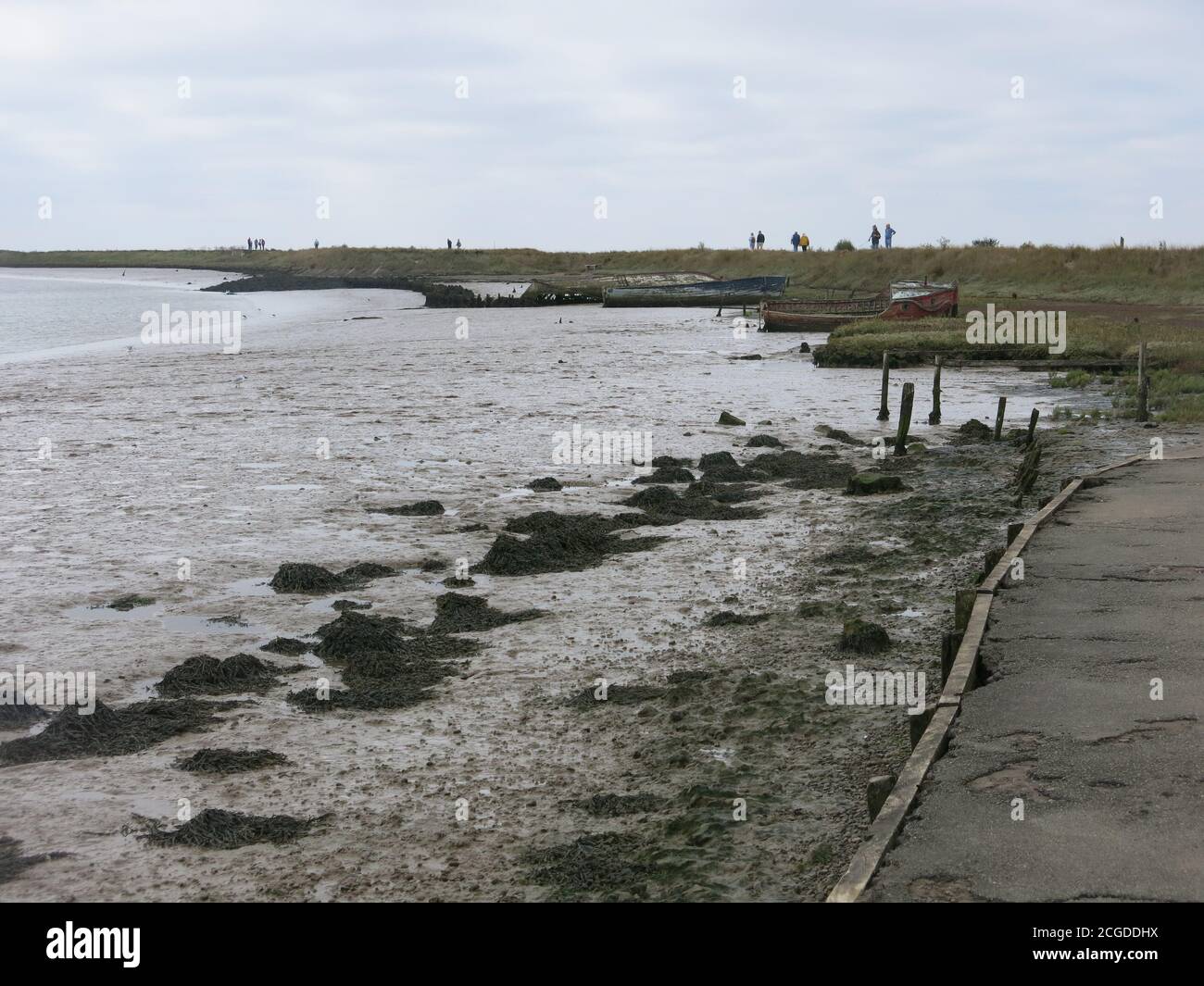 The water's edge at Orford Quay is a popular trail for birdwatchers ...