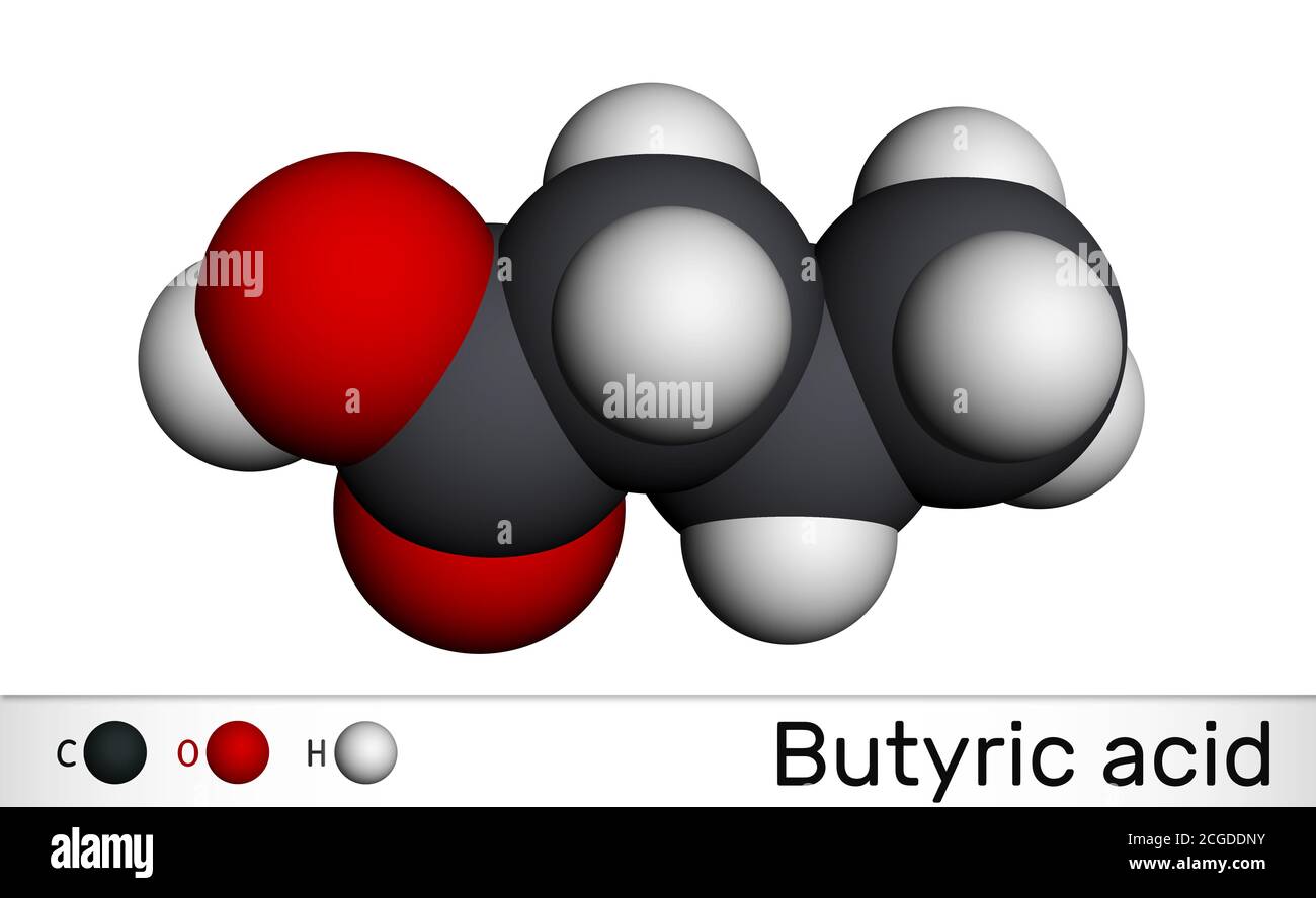 Microbiome colon hi-res stock photography and images - Alamy
