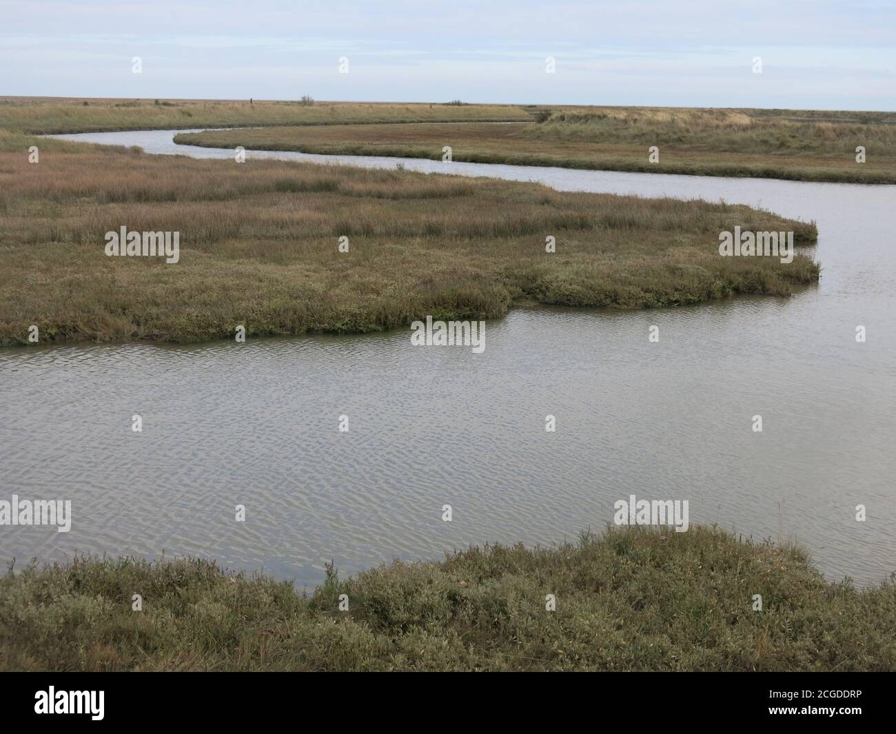 Orford ness suffolk beach wildlife hi-res stock photography and images ...