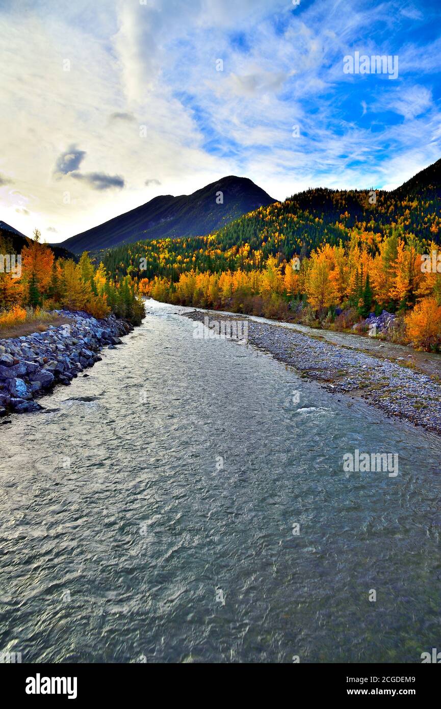 A vertical image of Fiddle river in Jasper National Park with the fall ...