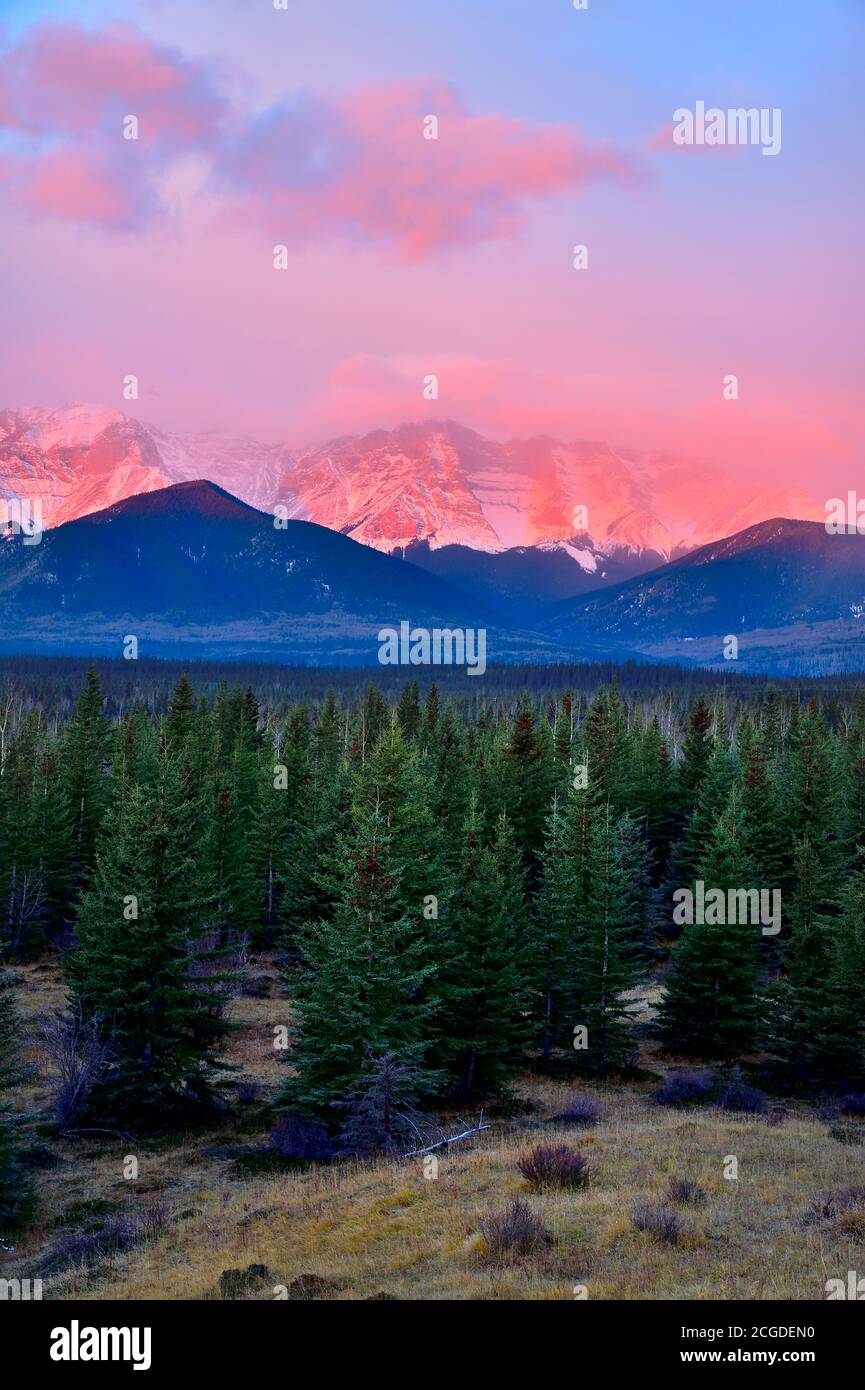 A vertical image of an early morning alpenglow at the hamlet of Brule ...