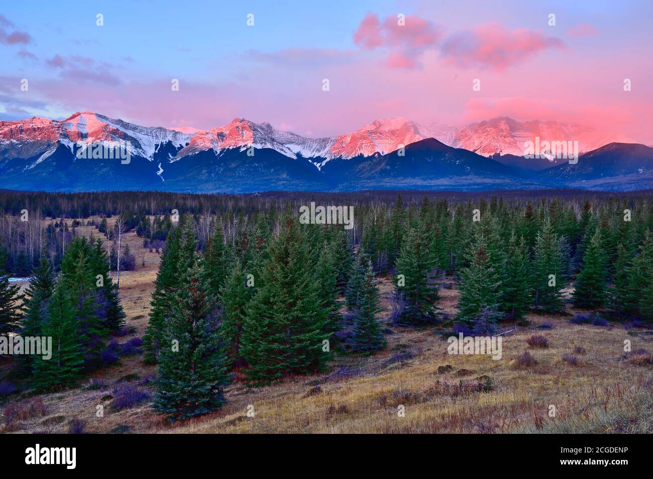 A stunning early morning alpenglow on the eastern slopes of the rocky ...